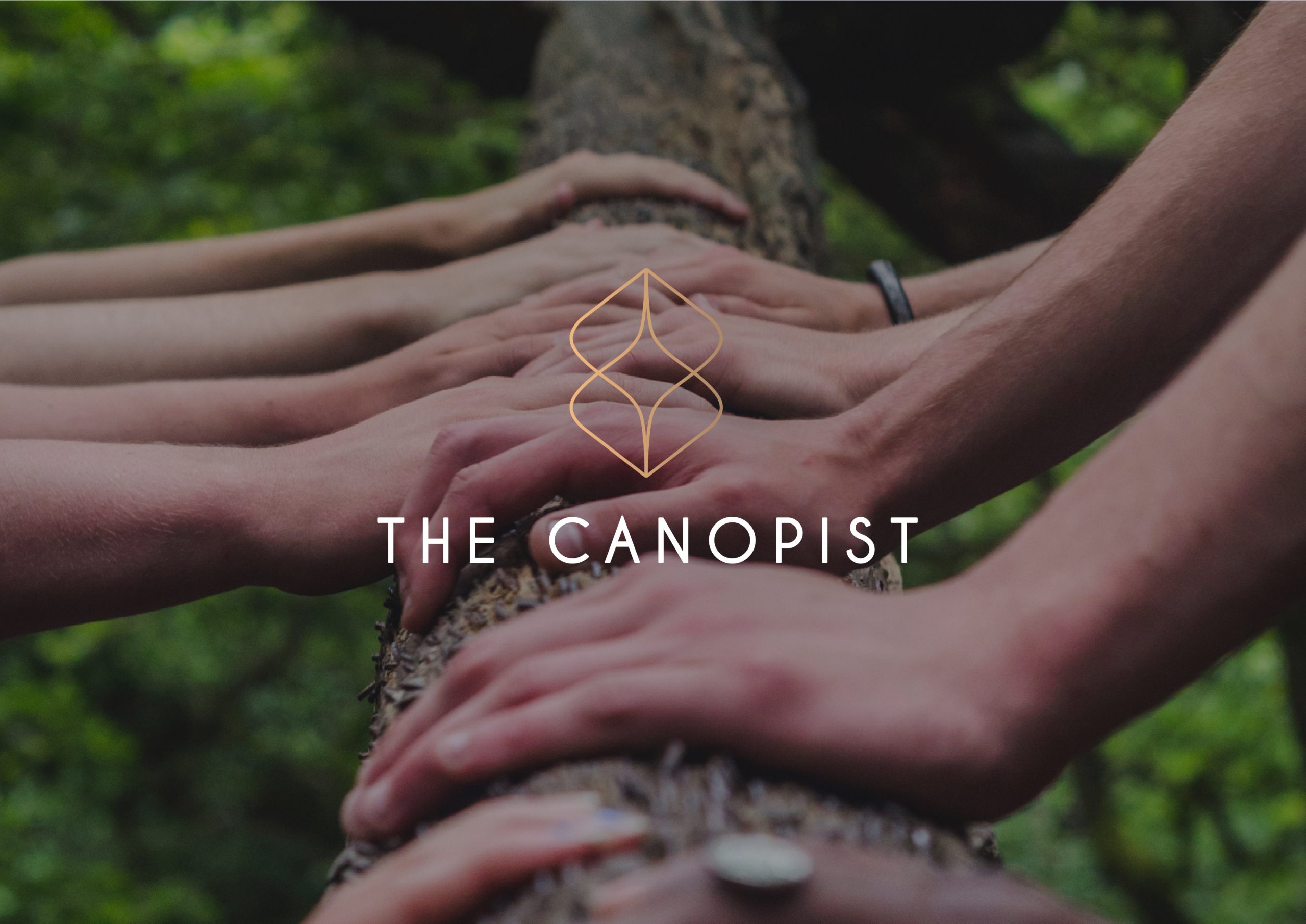 [Nouvelle création naming & branding by Coda]. THE CANOPIST : le nouveau concept de franchise ...